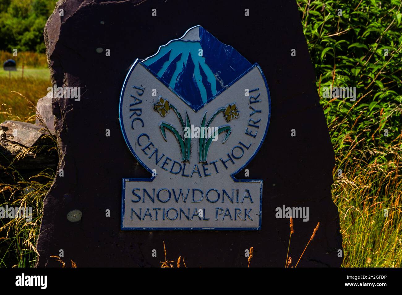 Snowdon Logo