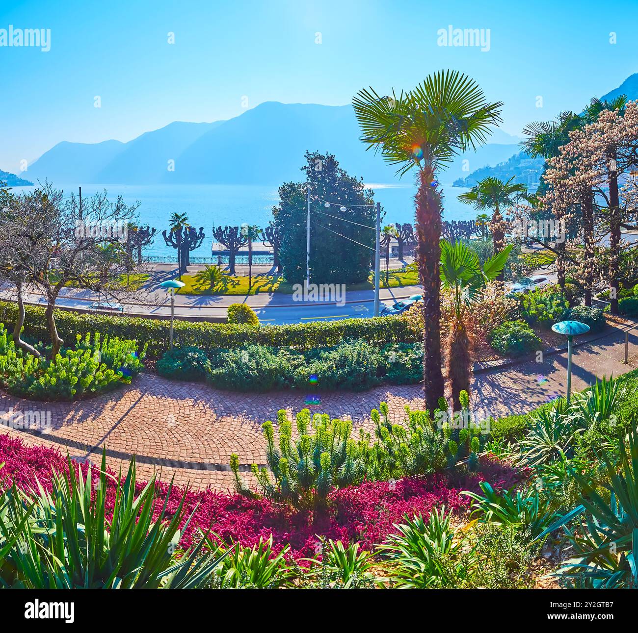 The spring Parco Villa Malpensata with chusan palms, flowering Euphobia ...