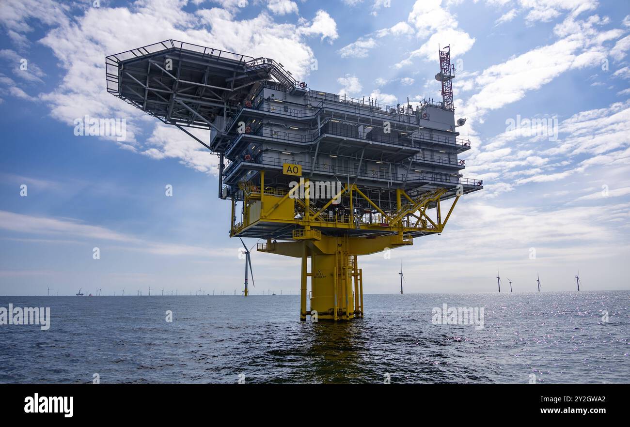 Windpark Arcadis Ost Die Umspannplattform und Windmuehlen stehen im ...