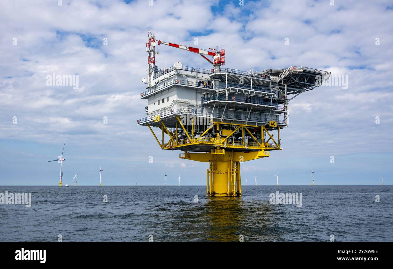 Windpark Arcadis Ost Die Umspannplattform und Windmuehlen stehen im ...