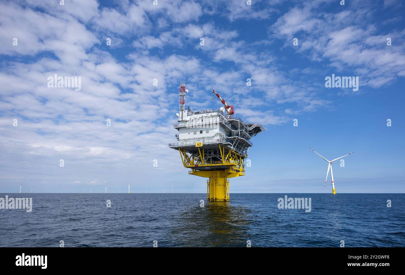 Windpark Arcadis Ost Die Umspannplattform und Windmuehlen stehen im ...