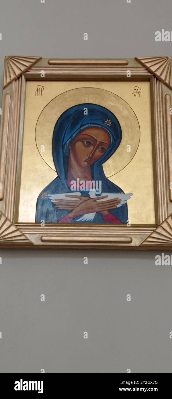 Pneumatófora hi-res stock photography and images - Alamy