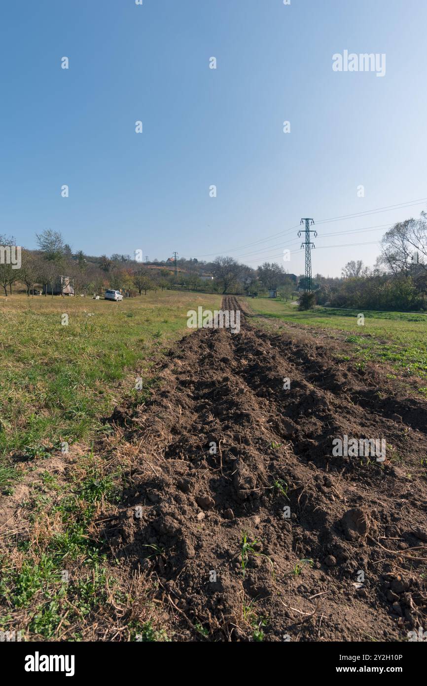 mud and grass in the countryside Stock Photo - Alamy
