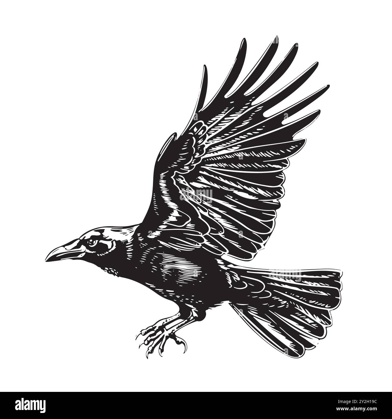 Raven bird, logo raven, vector illustration, logo, emblem black and ...