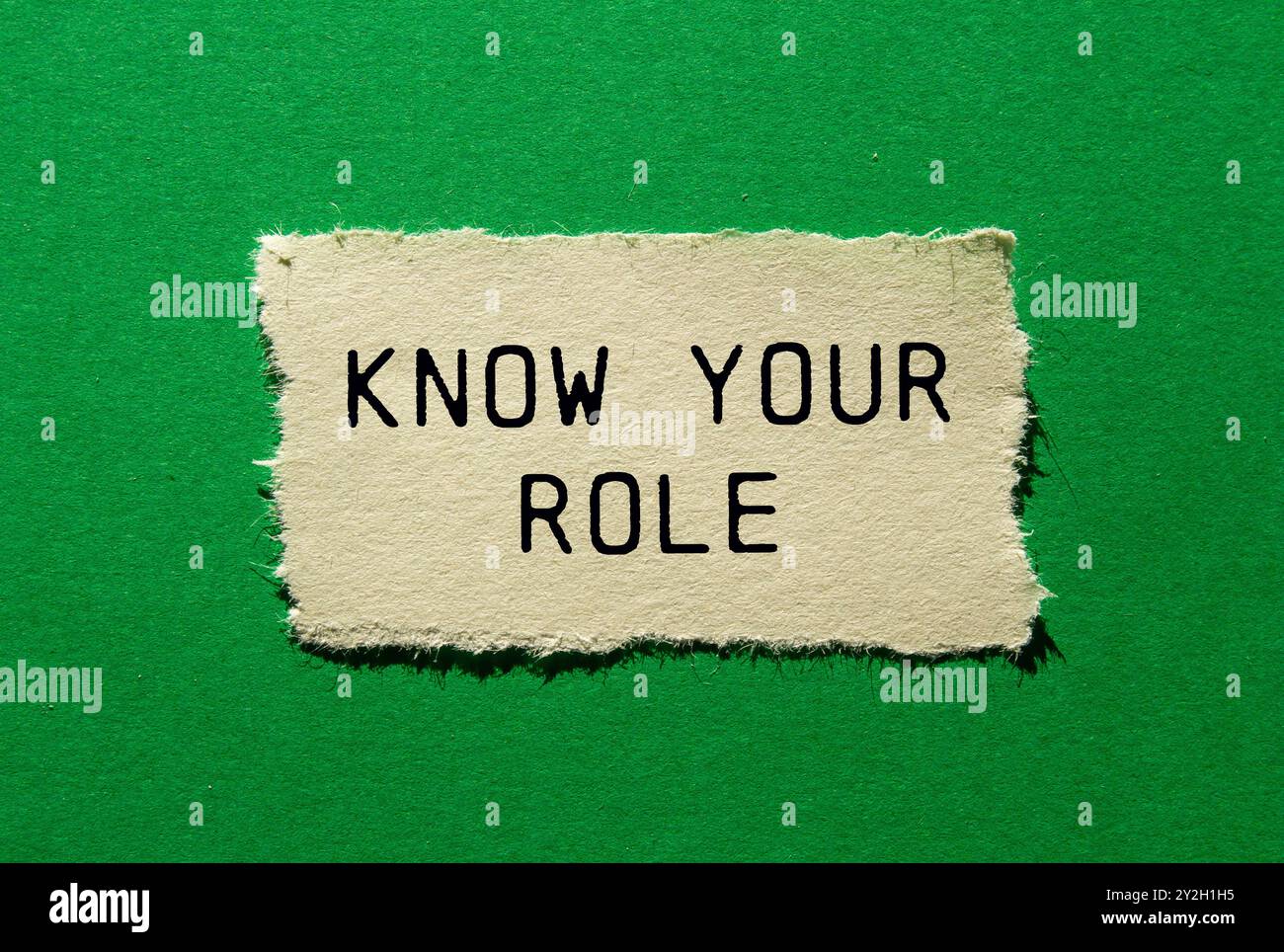 Know your role message written on ripped torn paper piece on green ...