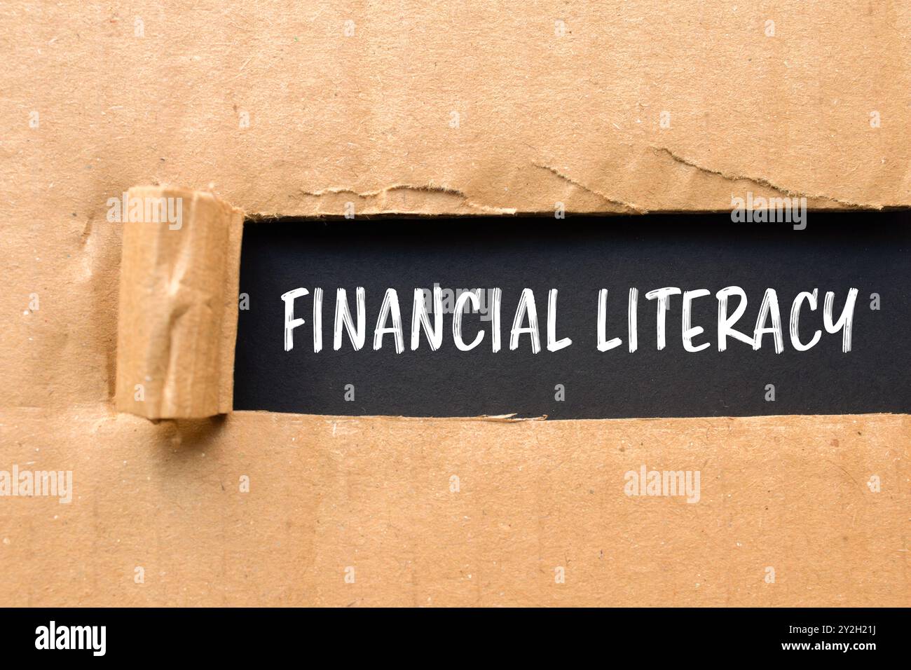 Financial literacy message written on ripped torn cardboard paper with ...