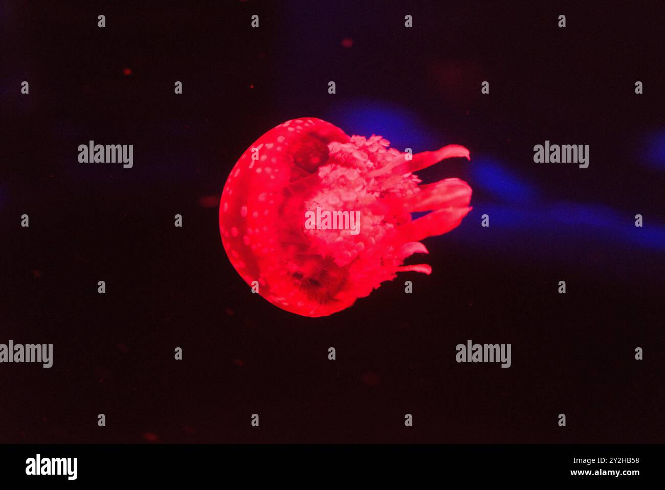 Deep water ocean currents hi-res stock photography and images - Alamy