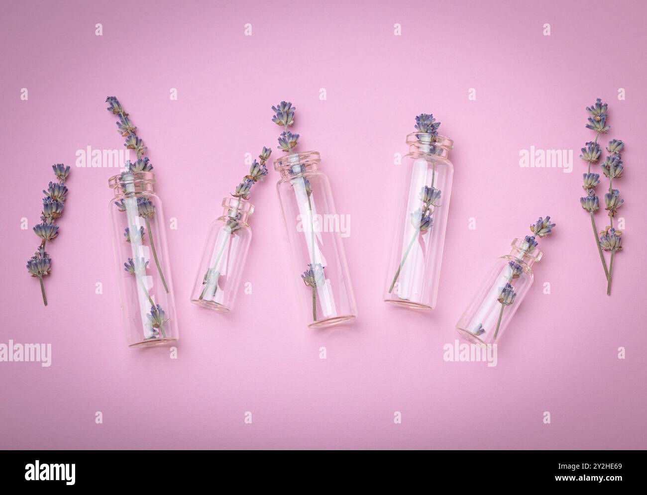 Lavender sprigs in glass test tubes on purple simple background top ...