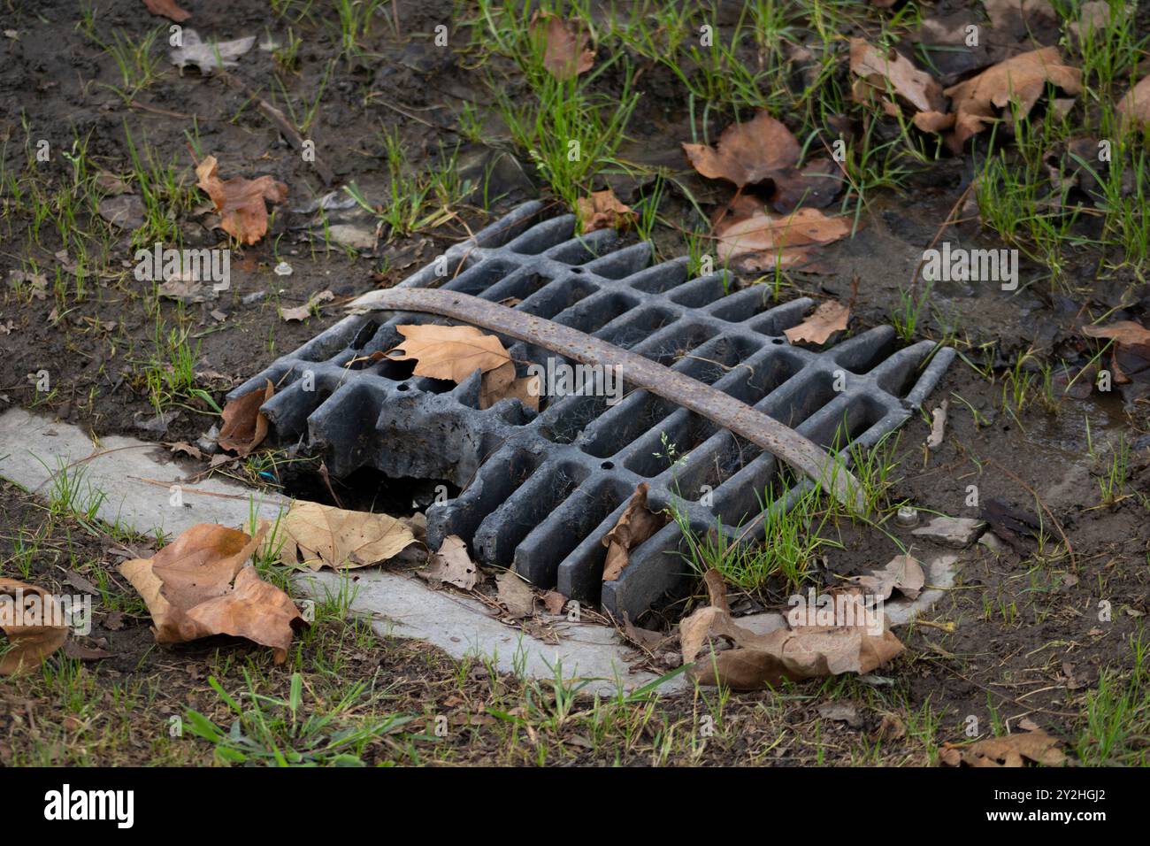 Metallic gridwork hi-res stock photography and images - Alamy
