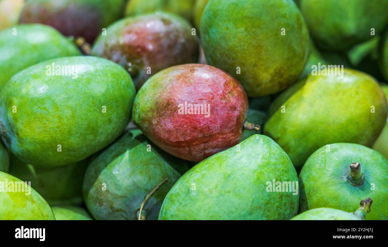 Panchavarnam hi-res stock photography and images - Alamy