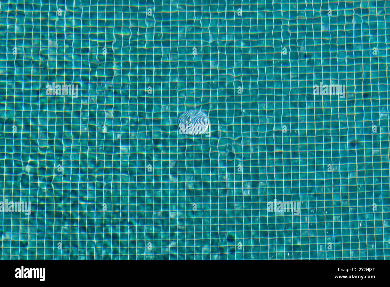 Swimming pool drain at the bottom of the swimming pool Stock Photo - Alamy