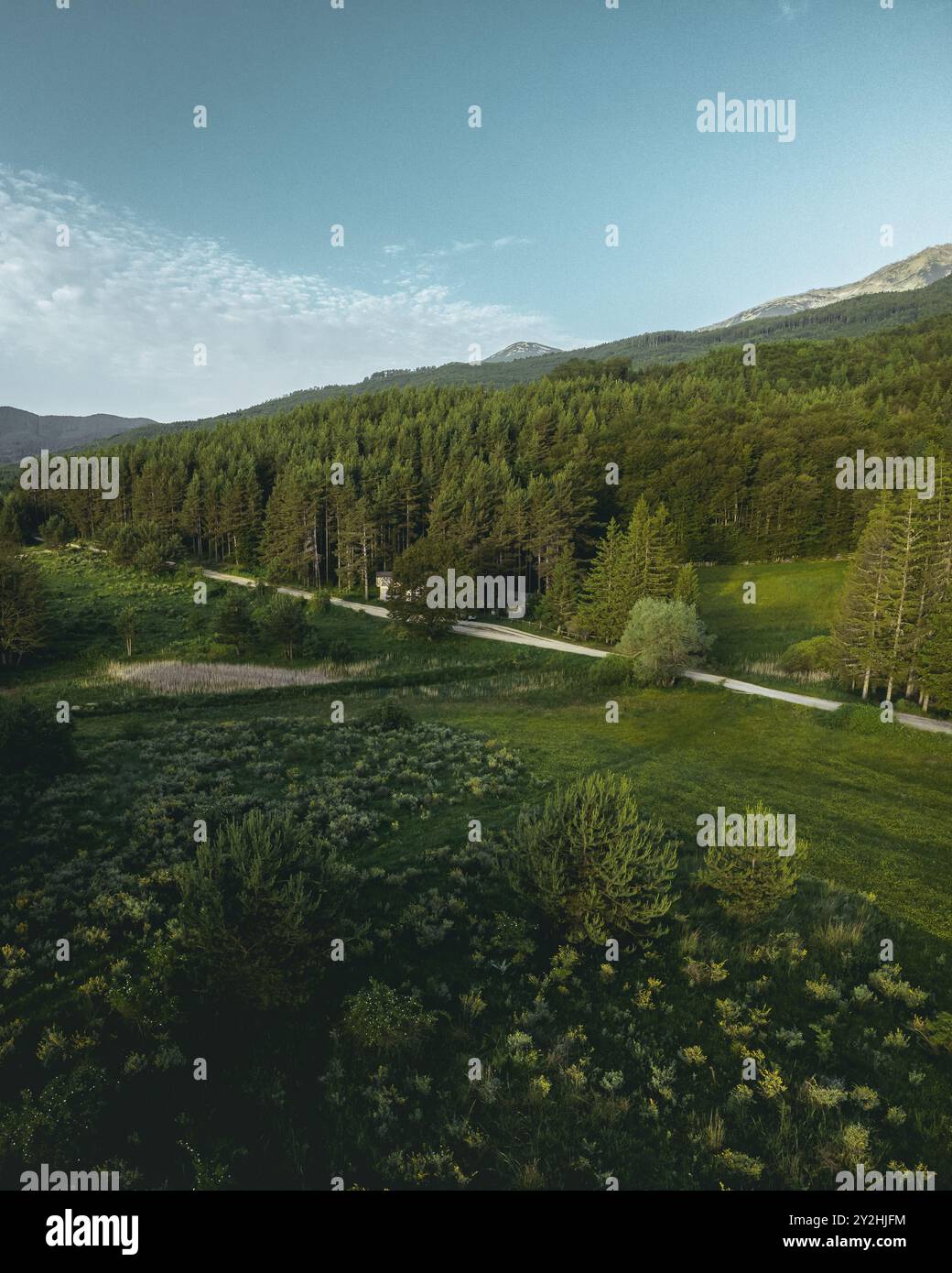 Country road big pine hi-res stock photography and images - Alamy