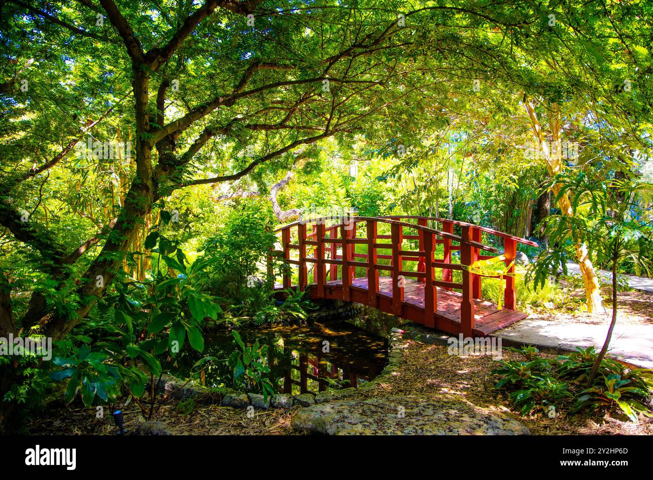 Bridge and pond at the Japanese garden, Miami Beach Botanical Garden ...