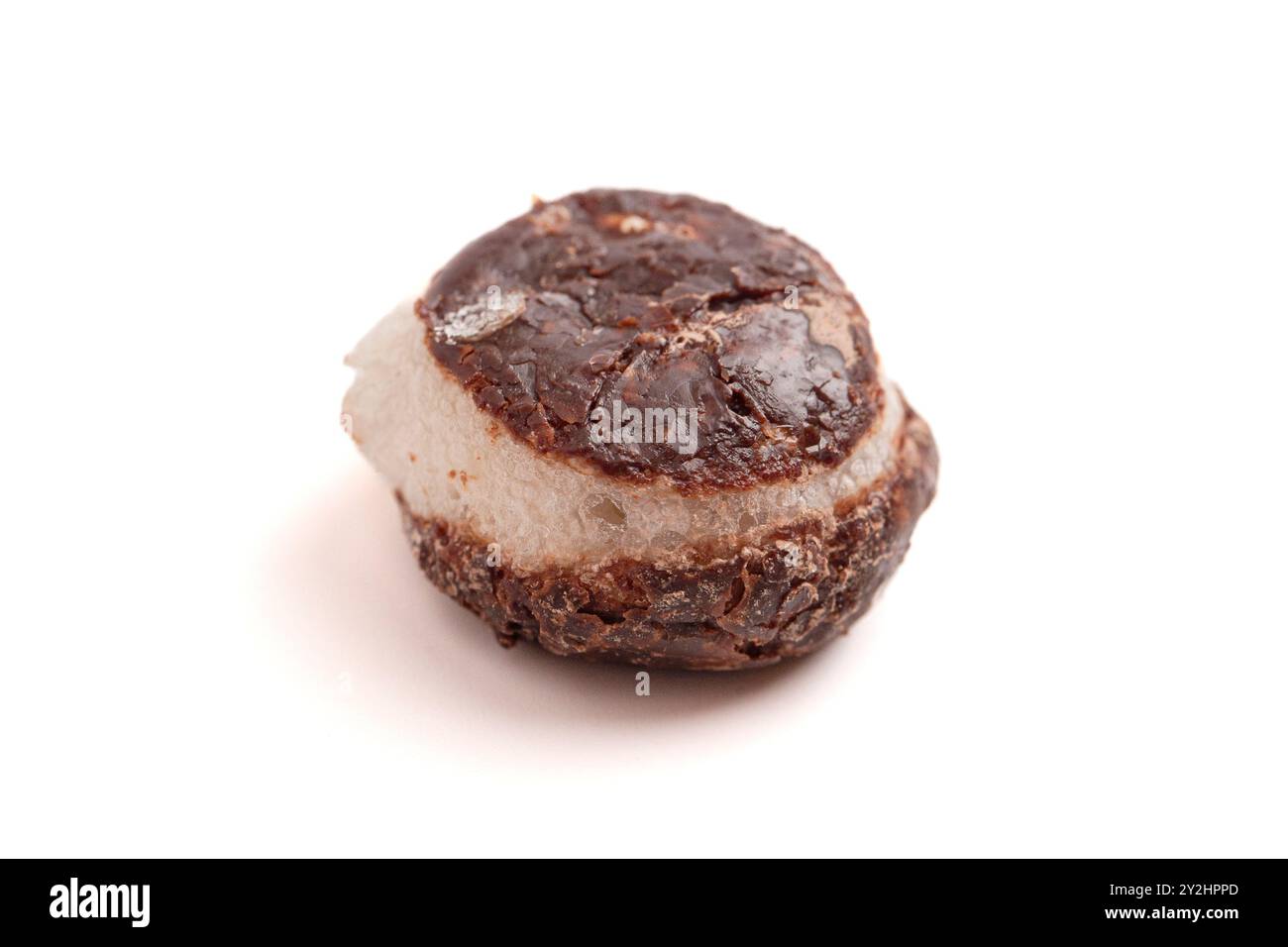 Freeze Dried Chocolate Covered Cream Filled Mint Candy Pieces Stock ...