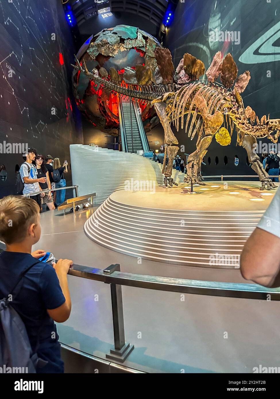 London, Great Britain, Tourists Visiting Natural History Museum ...