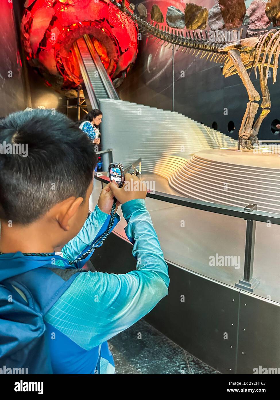 London, Great Britain, Tourists Visiting Natural History Museum ...