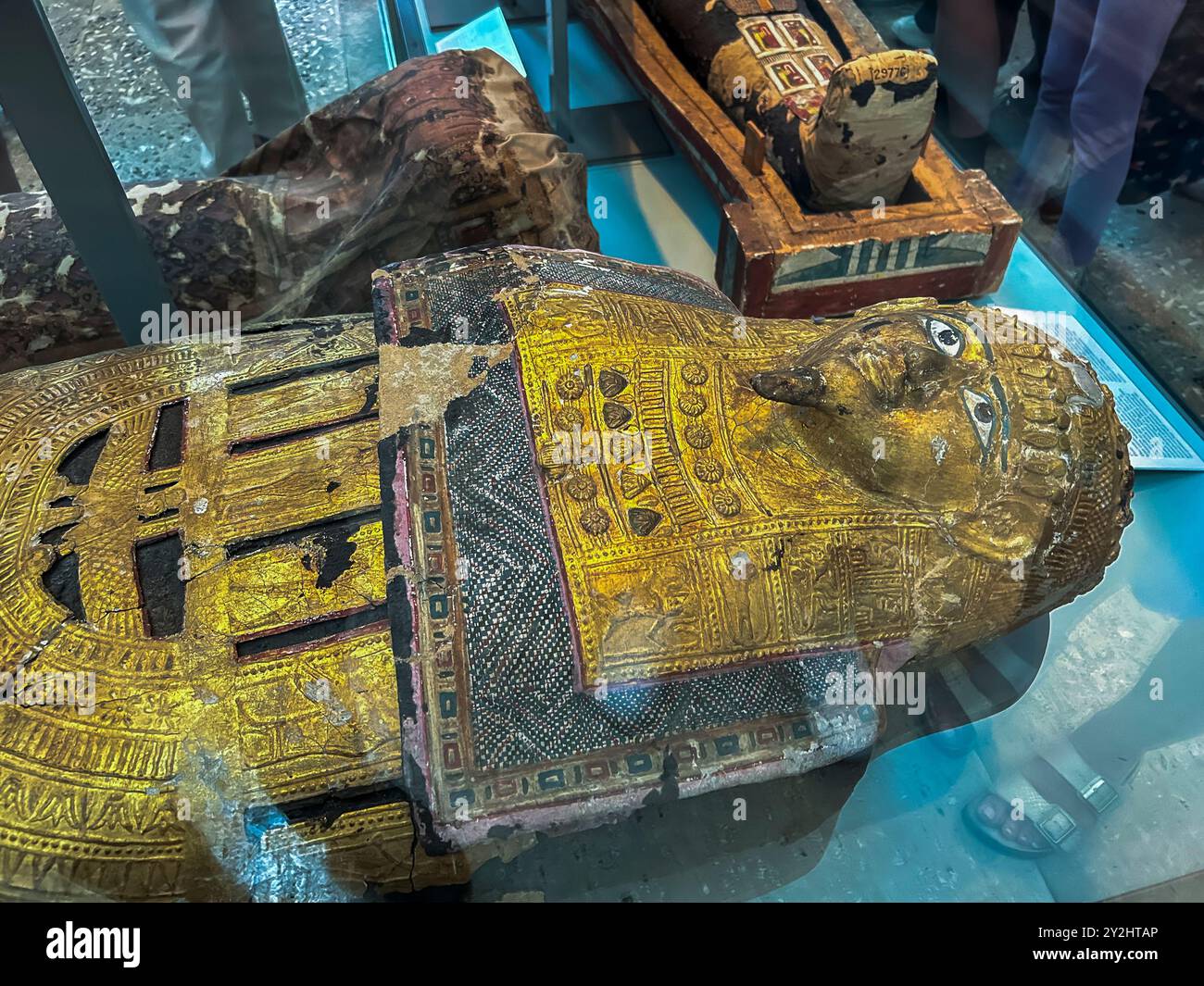 London, England, Detail, Natural History Museum, on display inside ...
