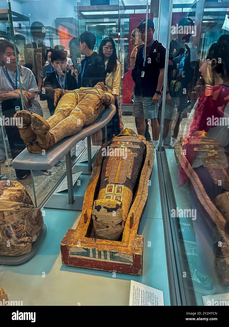 London, England, Crowd People Visiting, Tourists, The Natural History ...