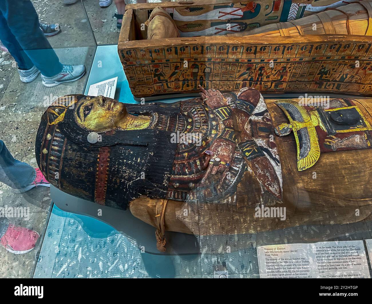 London, England, Detail, The Natural History Museum, Objects on display ...