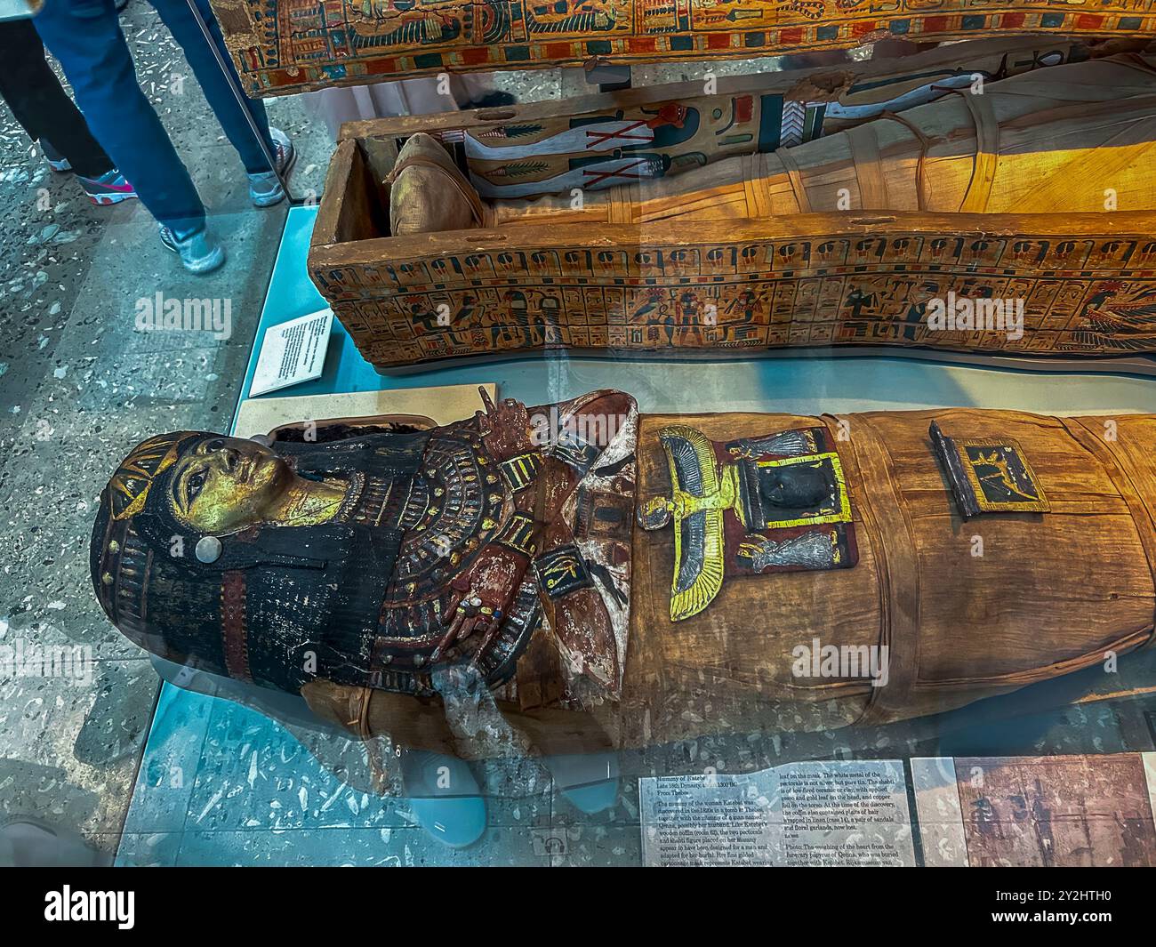 London, England, Detail, The Natural History Museum, Objects on display ...