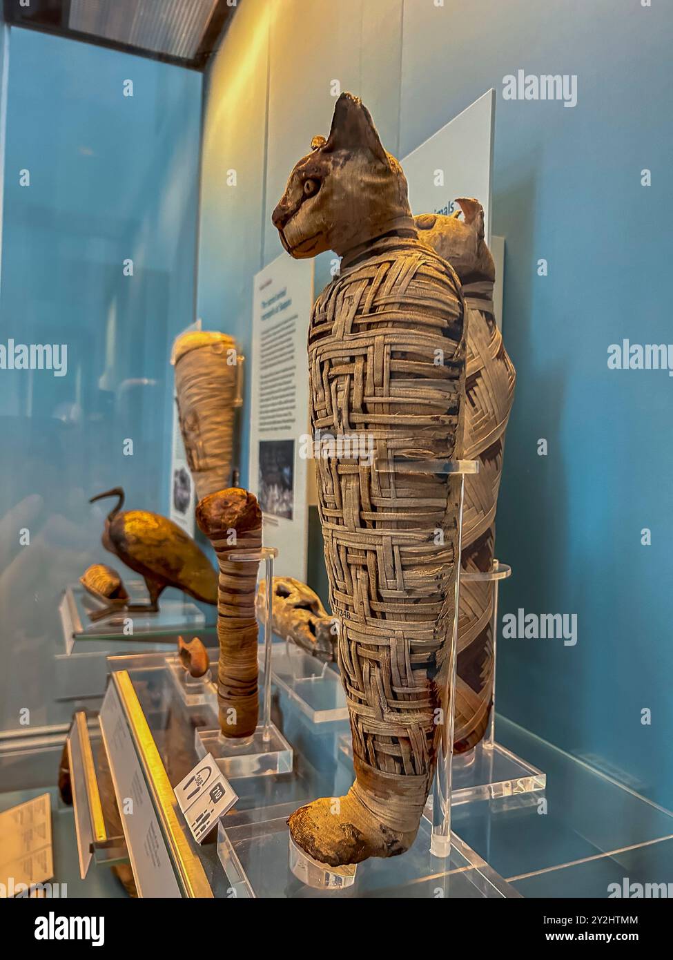 London, England, Detail, The Natural History Museum, Egyptian Cat ...