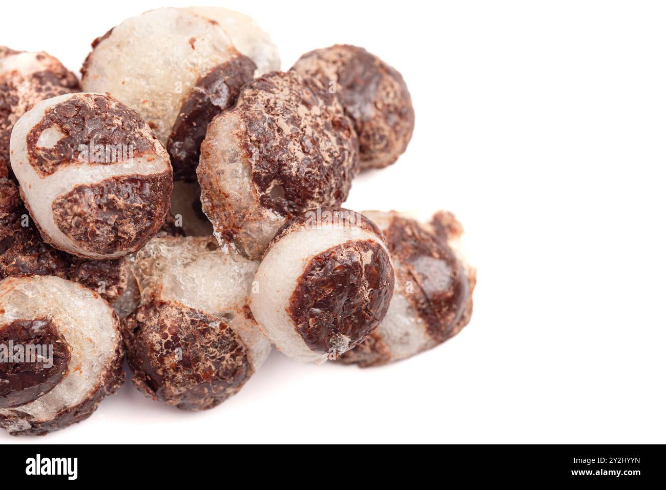 Freeze Dried Chocolate Covered Cream Filled Mint Candy Pieces Stock ...