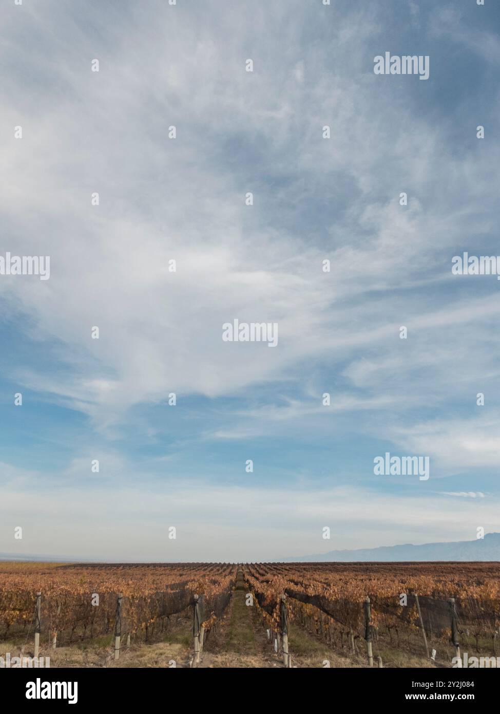 Landscape in valle de uco hi-res stock photography and images - Alamy