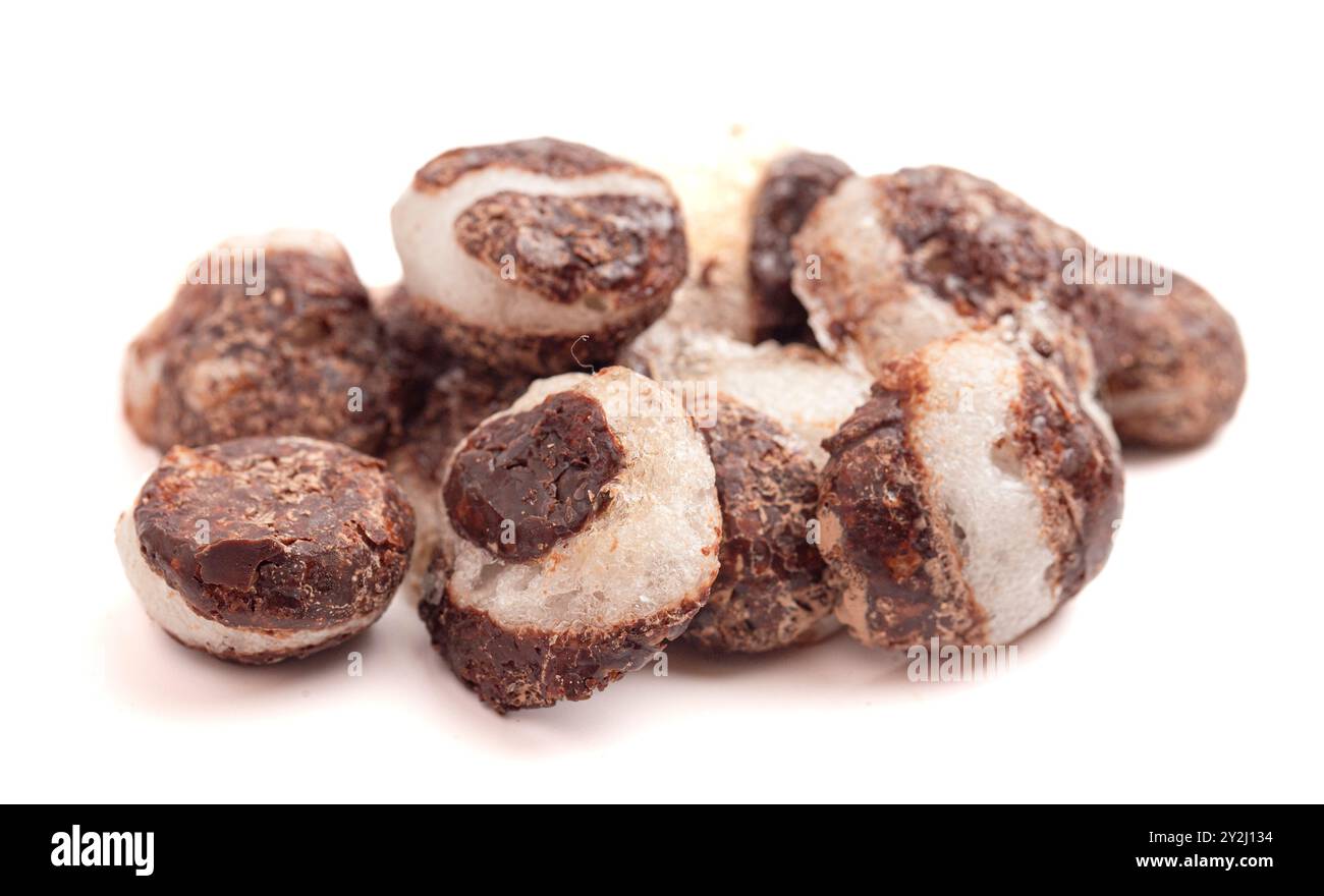 Freeze Dried Chocolate Covered Cream Filled Mint Candy Pieces Stock ...