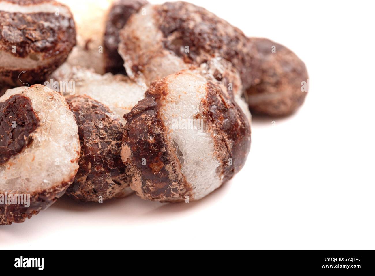 Freeze Dried Chocolate Covered Cream Filled Mint Candy Pieces Stock ...