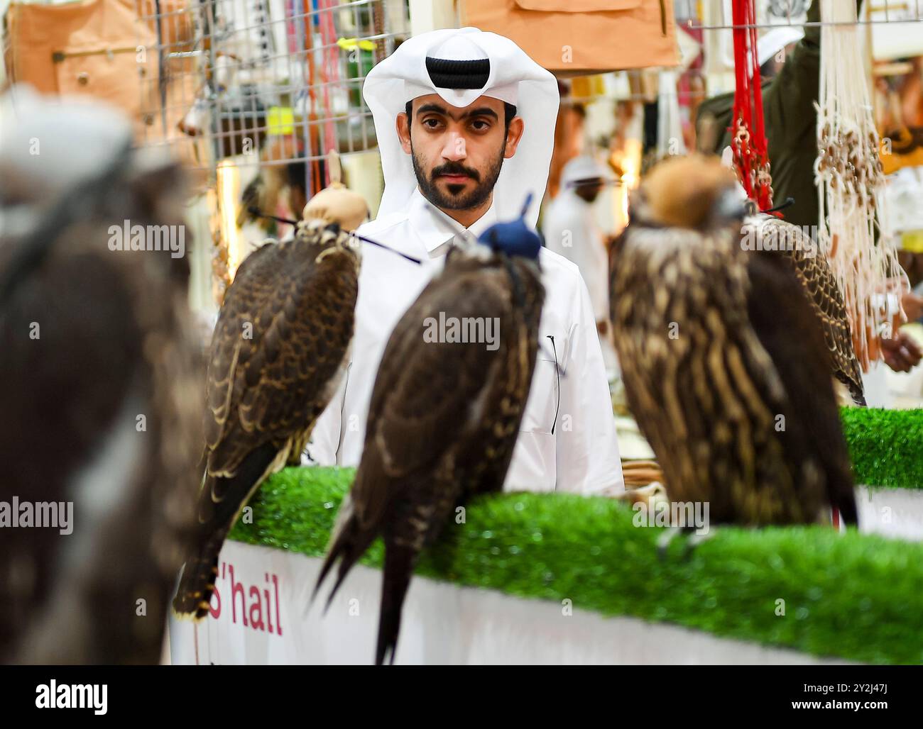 Doha, Qatar. 10th Sep, 2024. Qatari visitors observe falcons during the ...