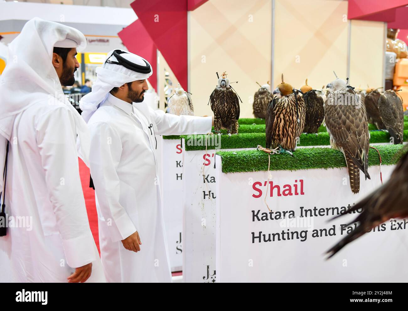 Doha, Qatar. 10th Sep, 2024. Qatari visitors observe falcons during the ...