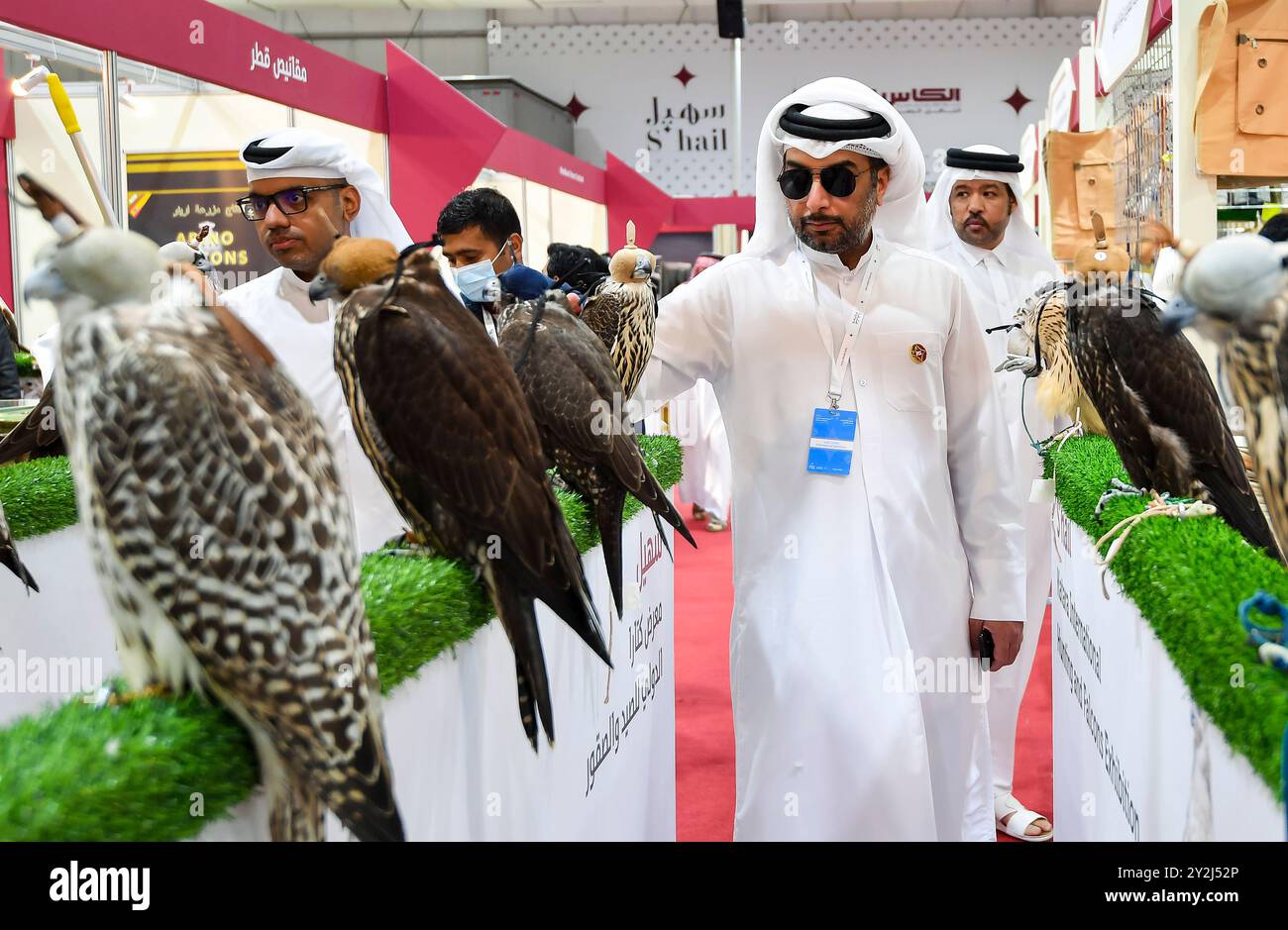 Qatari visitors observe falcons during the 8th edition of the Katara ...