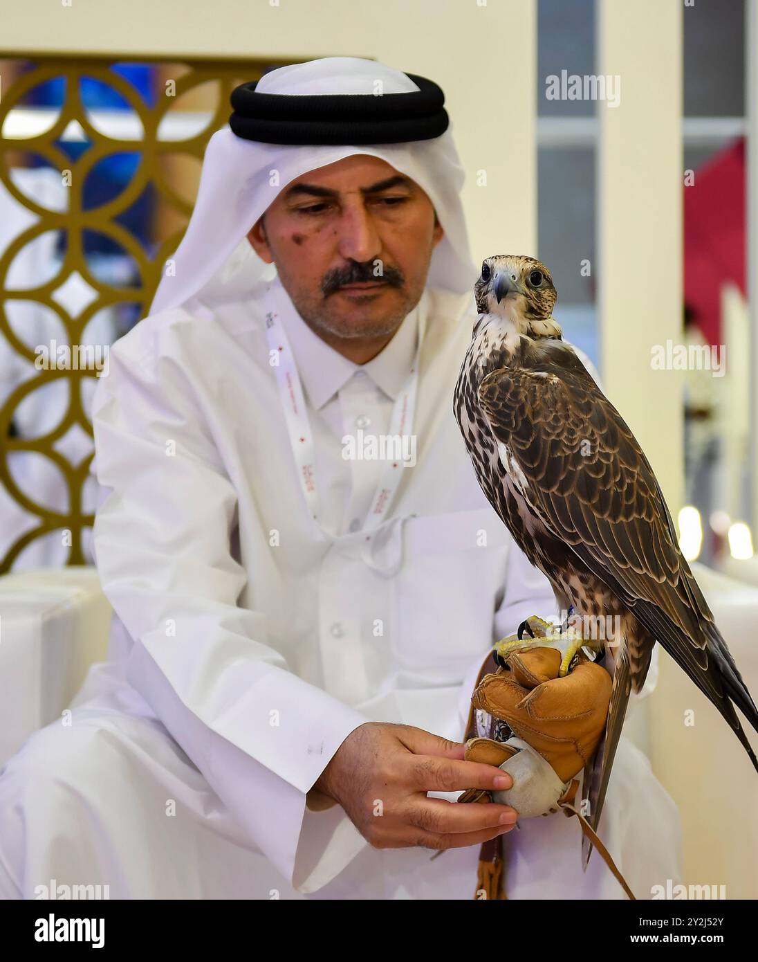 Doha, Qatar. 10th Sep, 2024. A Qatari exhibitor shows a falcon during ...