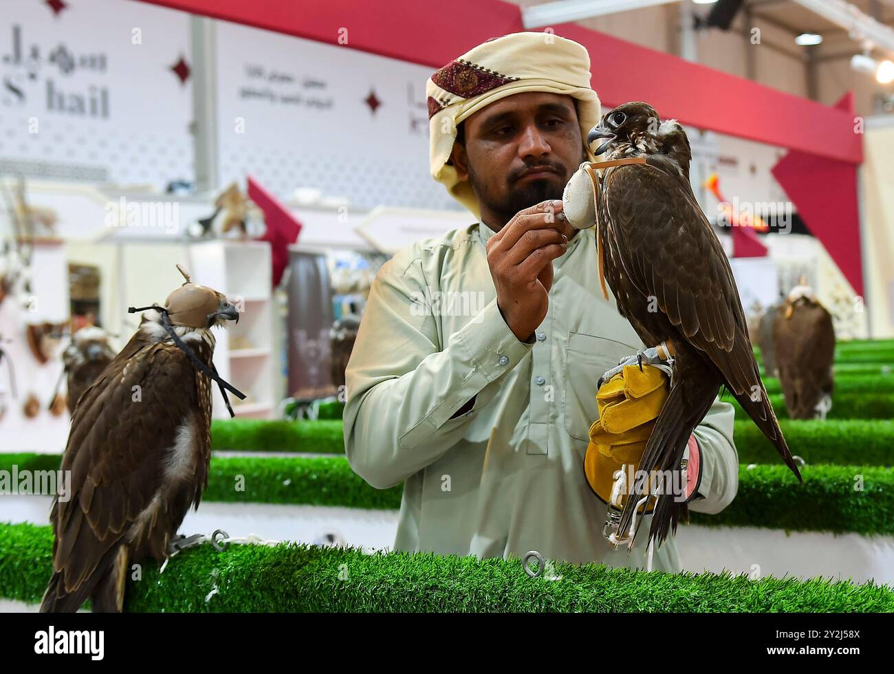 A Qatari exhibitor shows a falcon during the 8th edition of the Katara ...
