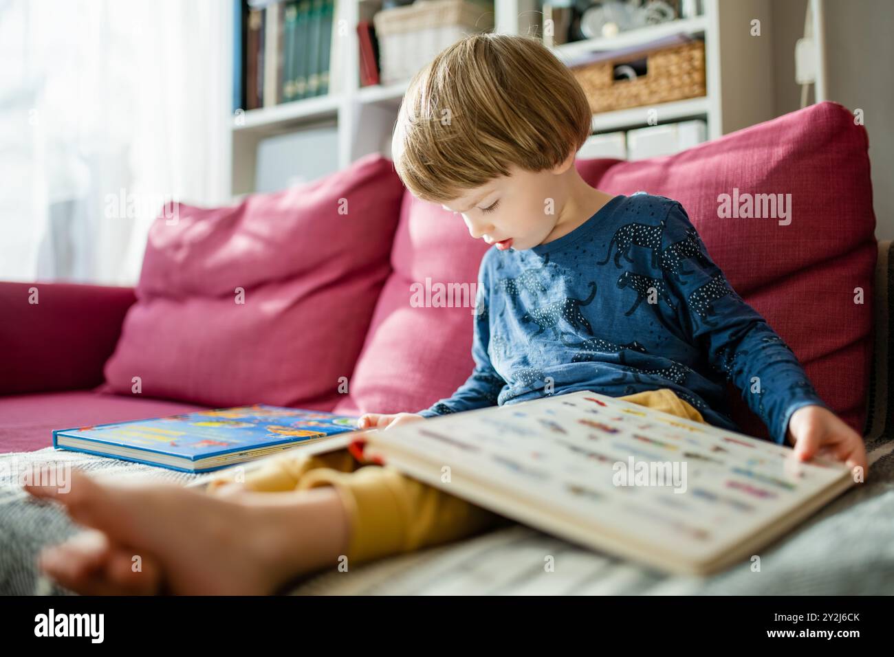 Cute little boy reading books on the sofa at home on a bright sunny ...