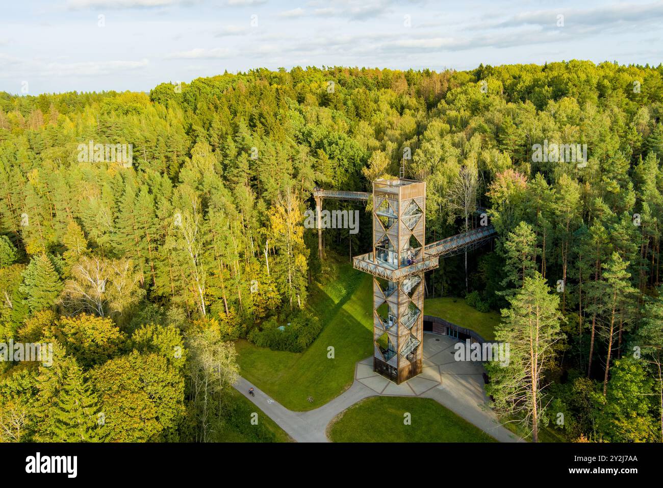 Aerial view of Laju takas, tree-canopy trail complex with a walkway, an ...