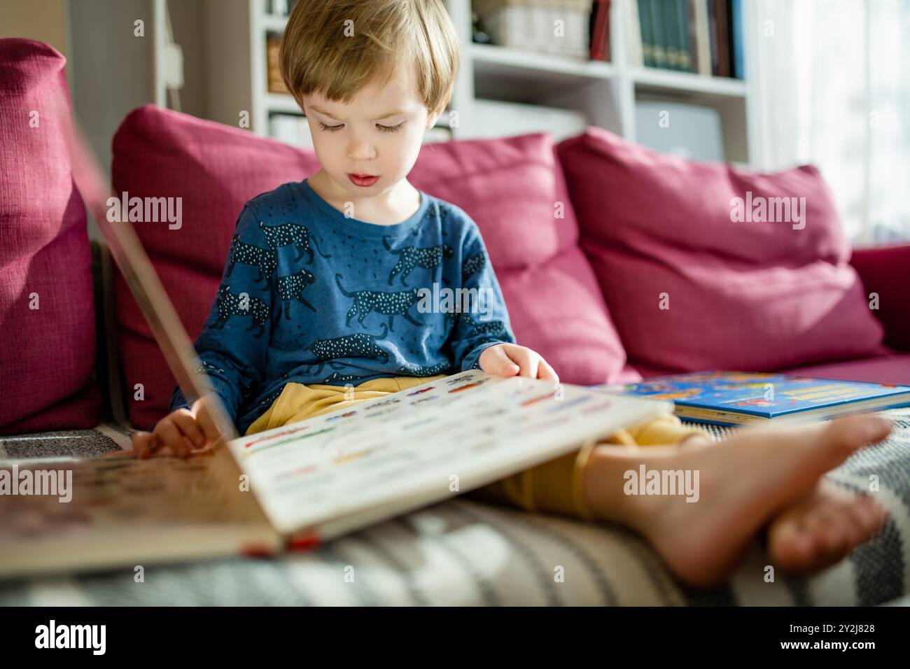 Cute little boy reading books on the sofa at home on a bright sunny ...