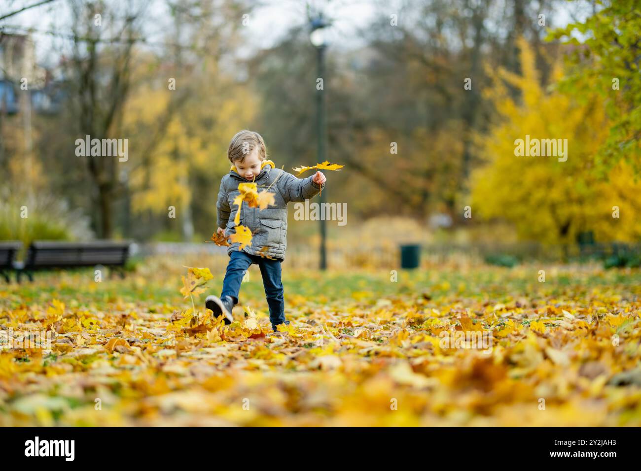 Cute little boy playing outdoors on sunny autumn day. Child exploring ...