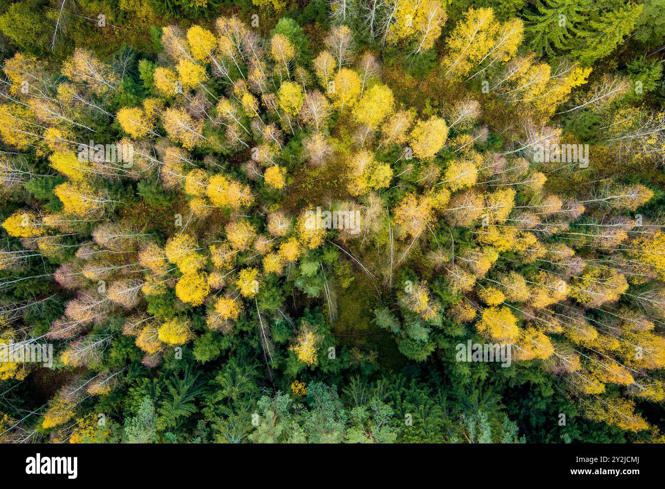 Autumn nature park flyover fall hi-res stock photography and images - Alamy
