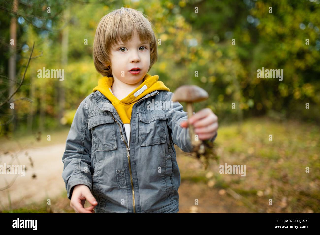 Cute little boy holding boletus edulis mushroom in a woods in autumn ...