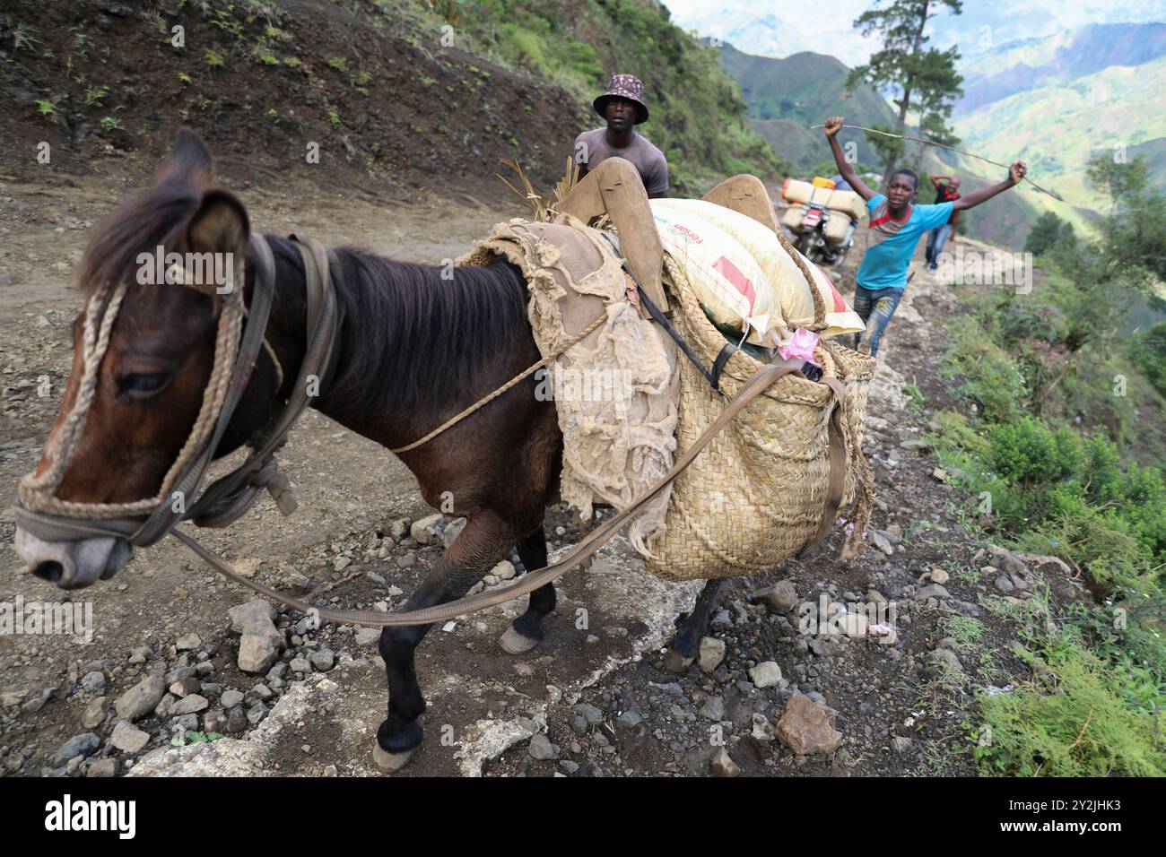A man leads his horse through a mountain to avoid gang violence in the ...