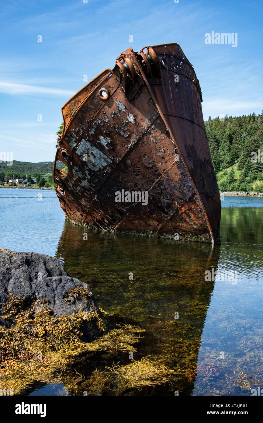 SS Charcot shipwreck in Conception Harbour, Newfoundland & Labrador ...