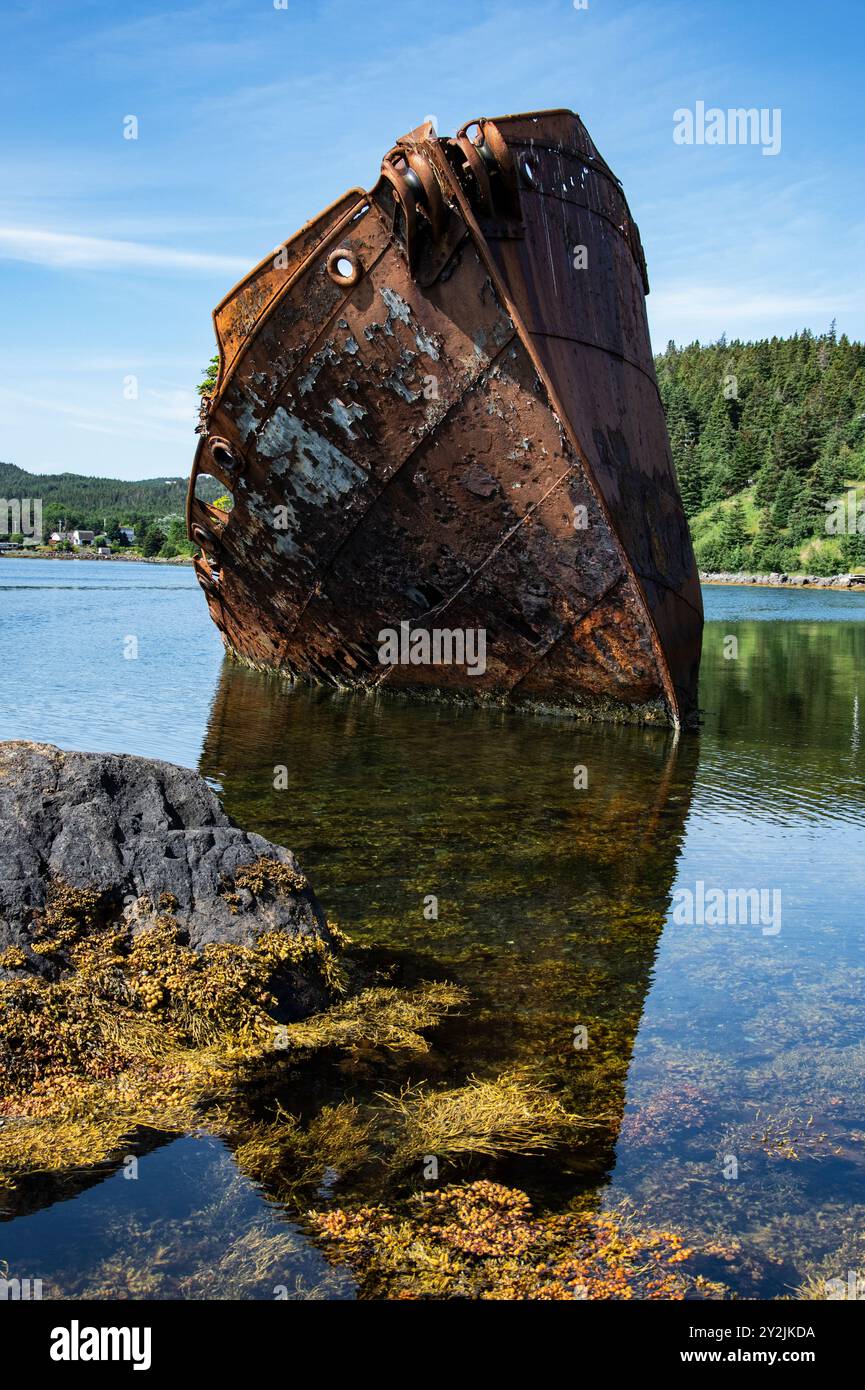 SS Charcot shipwreck in Conception Harbour, Newfoundland & Labrador ...