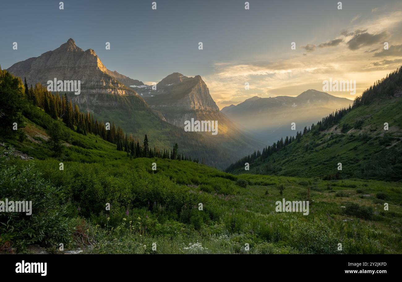 Evening Rays Highlight The Green Meadow Below Mount Cannon In Glacier ...