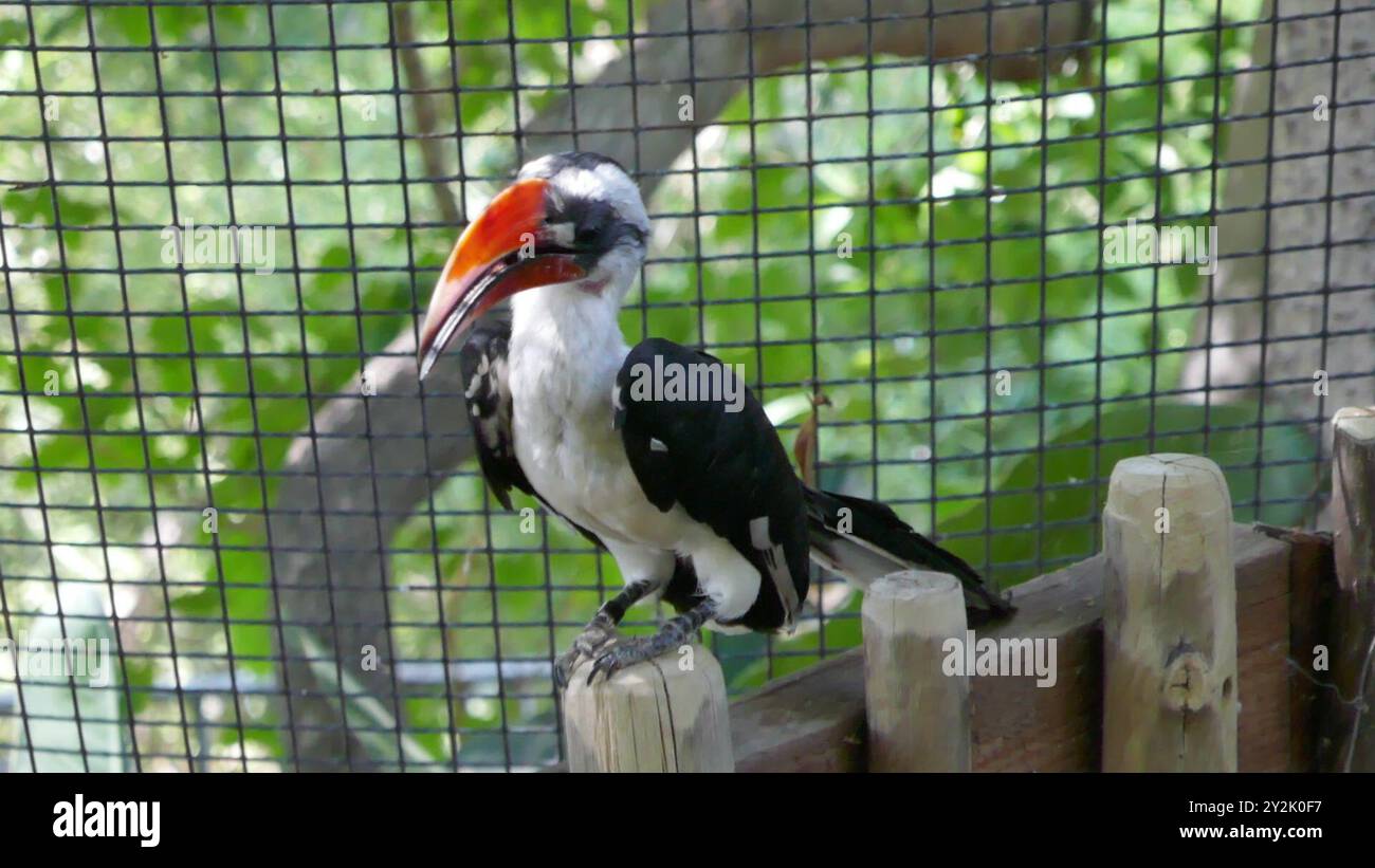 Los Angeles, California, USA 9th September 2024 Von Der DeckenÕs ...