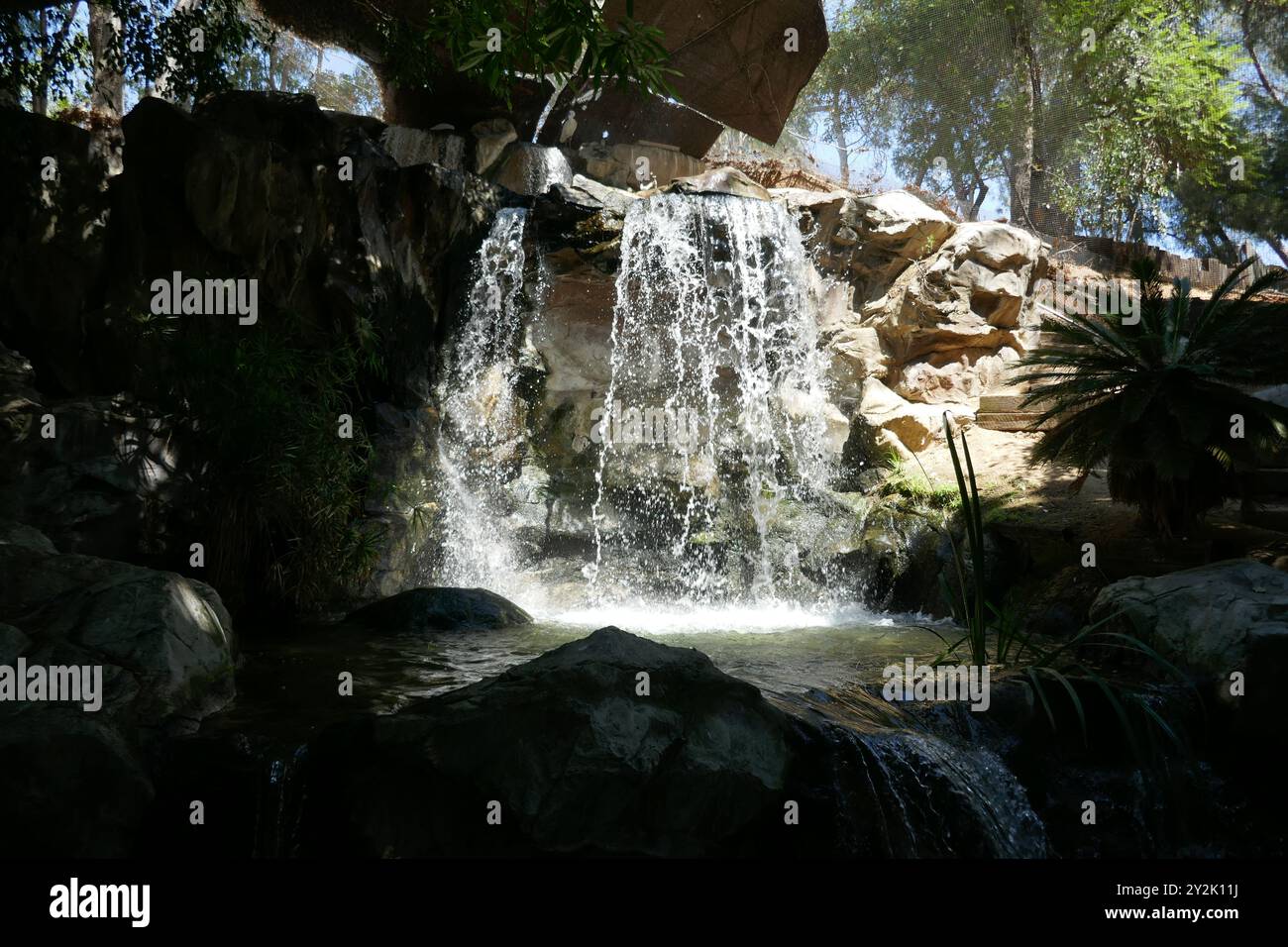 Los Angeles, California, USA 9th September 2024 Waterfalls in Aviary at ...