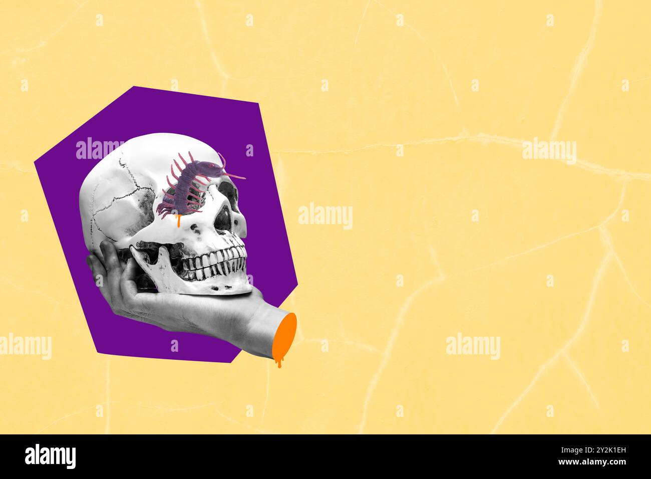 Hand holding a human head skull with a centipede coming out from the ...