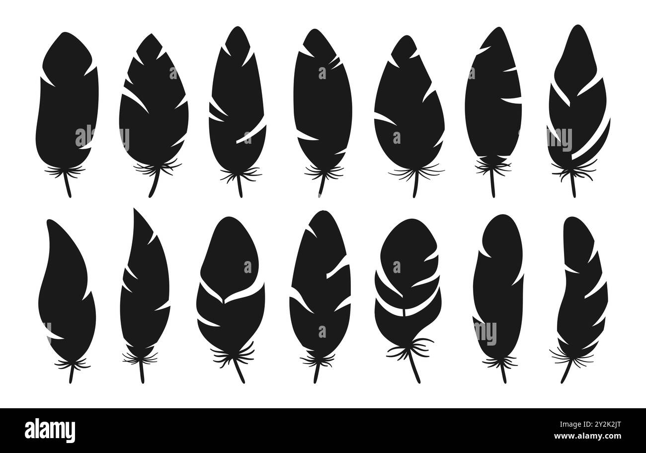 Bird Feather silhouette set. Stylized bird feathers shape for ethnic ...