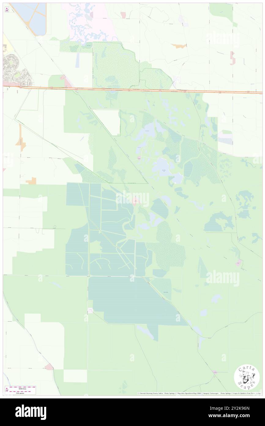 Gadwall historical hi-res stock photography and images - Alamy