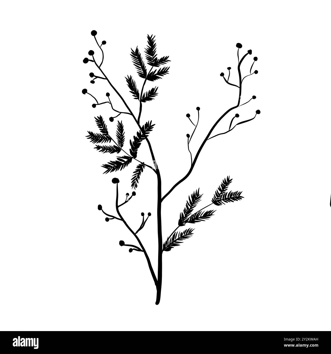 Black and white twig with leaves and small berries illustration, simple ...